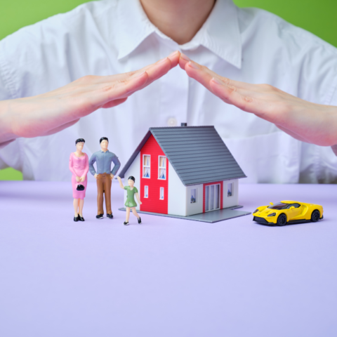 Stock Insurance - Fortune Insurance